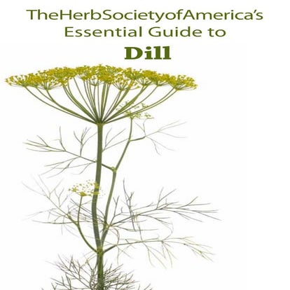 Dill Herb Seed Saving, Growing and Harvesting | PDF