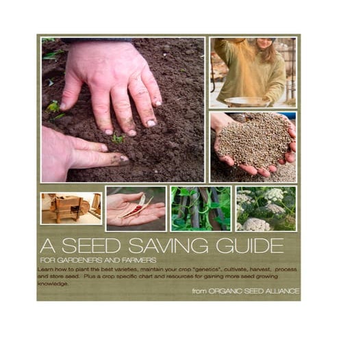 A Seed Saving Guide for Gardeners and Farmer | PDF