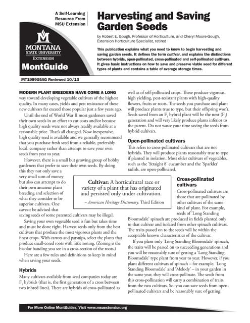 Rouging and its significance | PDF