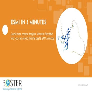 Learn ESM1 in 3 minutes | Endothelial cell-specific molecule 1, Endocan ...