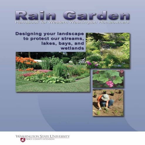 Western Washington Rain Garden Handbook | PDF