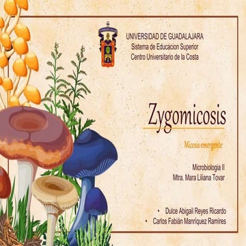 Zygomicosis .pptx