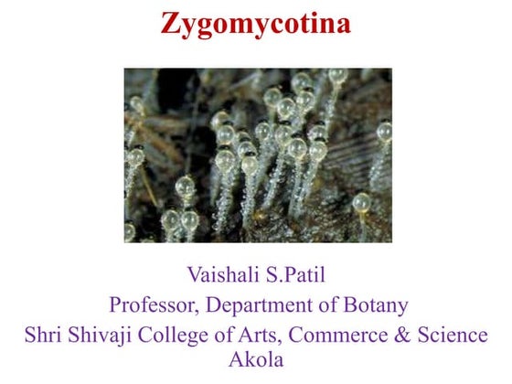Albugo presentation plant pathology lecture. PPTX | PPT